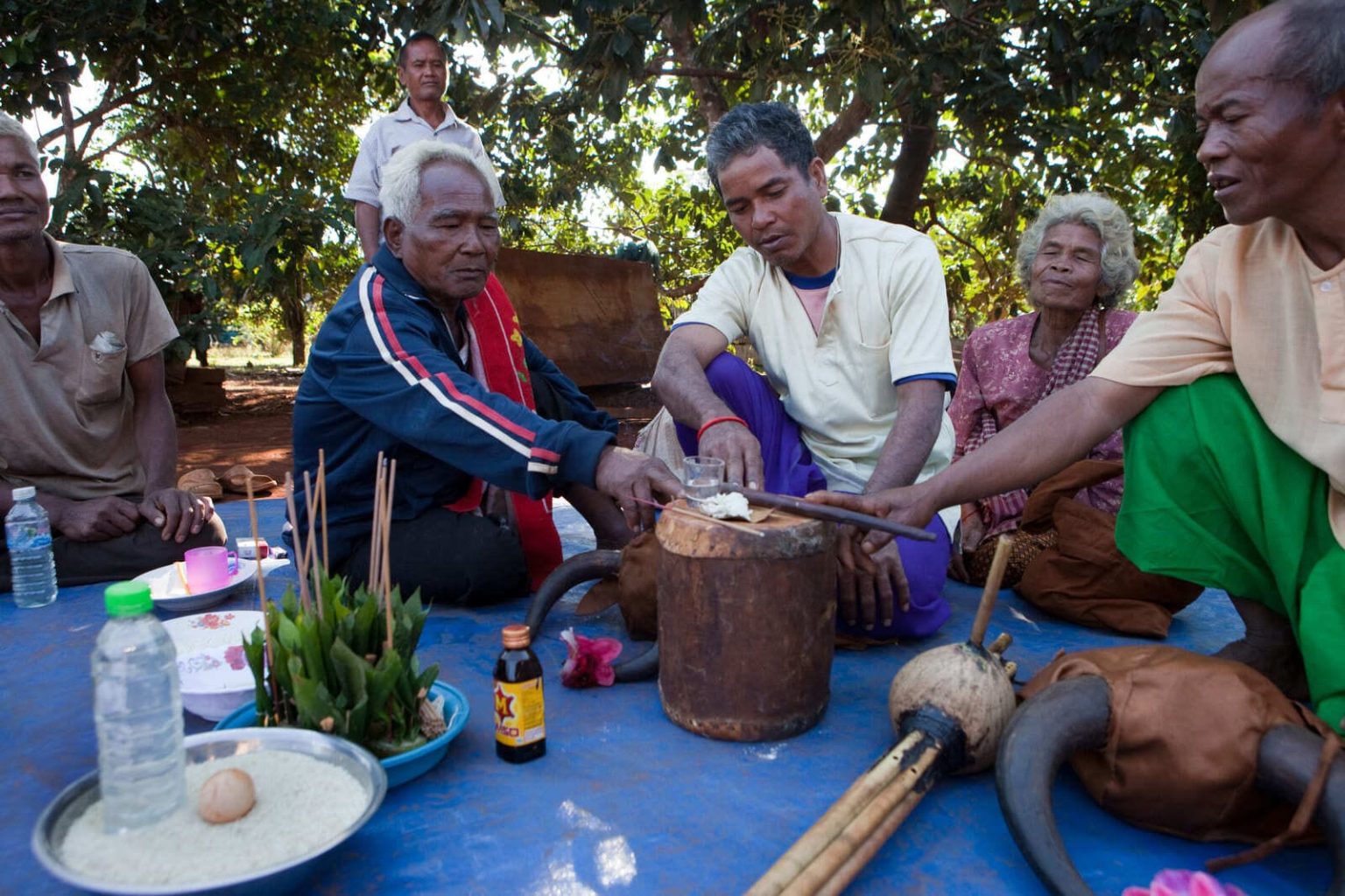 Complete Guide to Visiting the Cardamom Mountains, Cambodia