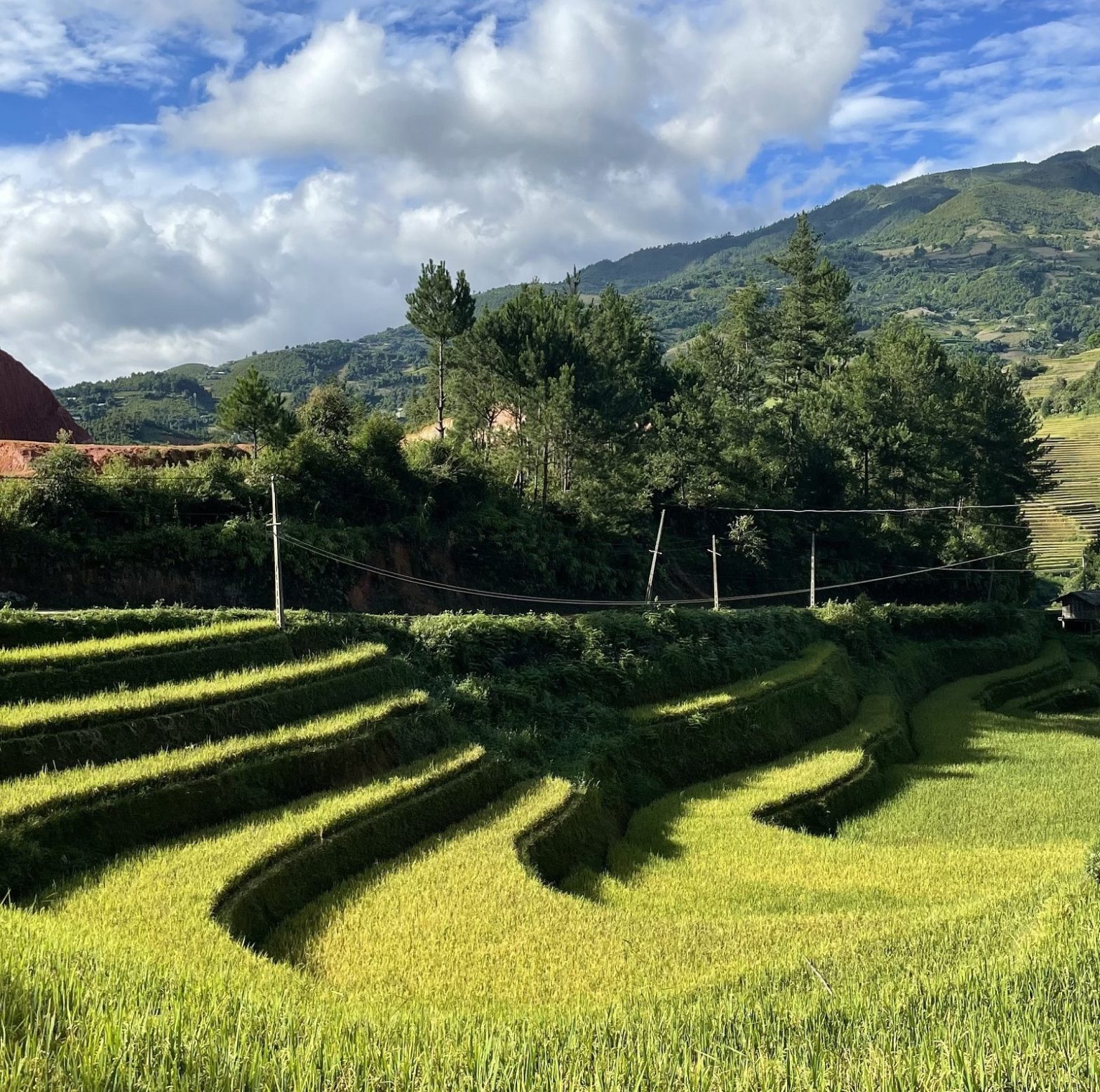 Amazing Mu Cang Chai's rice terraces in Northern Vietnam