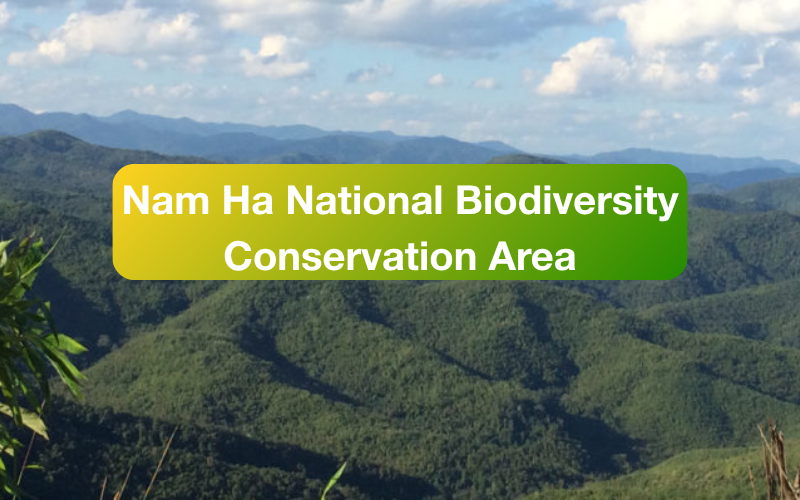 Laos Travel Guide : Nam Ha National Biodiversity Conservation Area